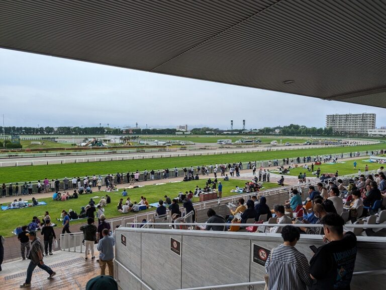 函館競馬開催中 | はこだてHotWeb